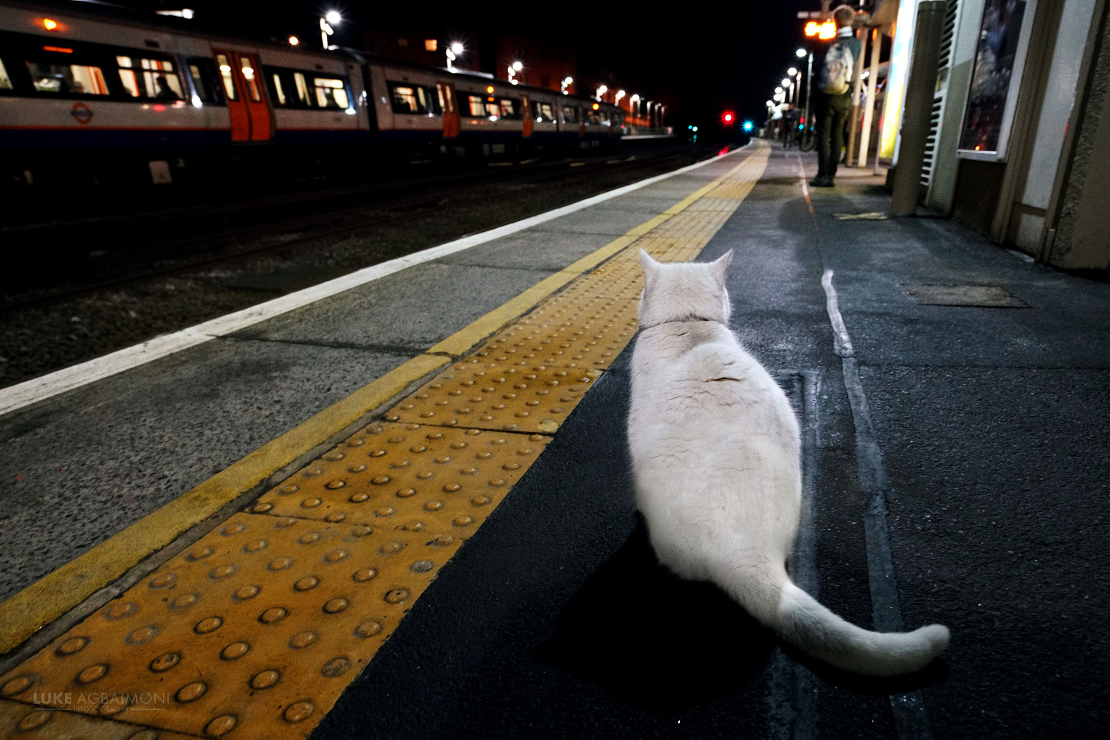 Brockley - The Lewisham Lens Photography